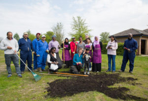 Home - Comfrey Project