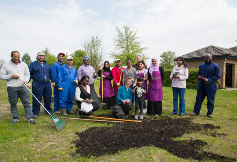 Home - Comfrey Project
