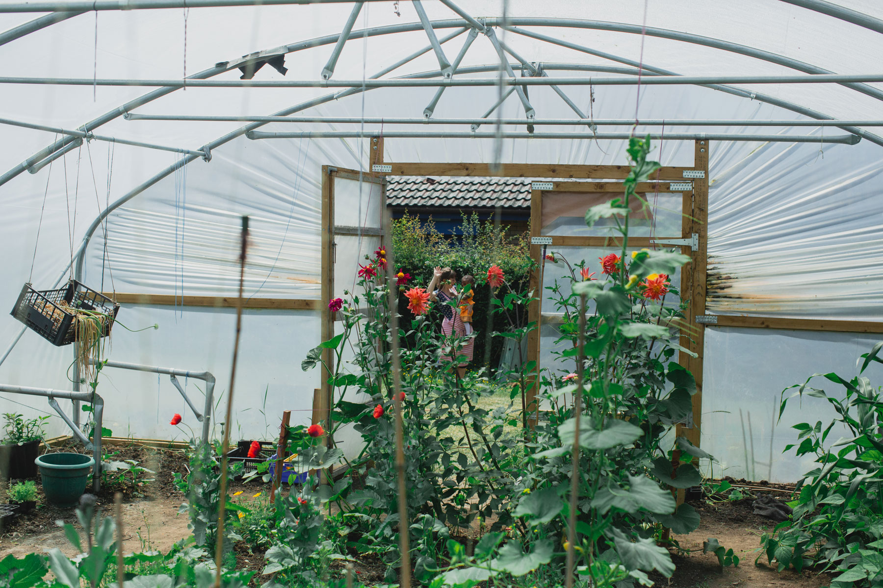 Our Aims - Comfrey Project