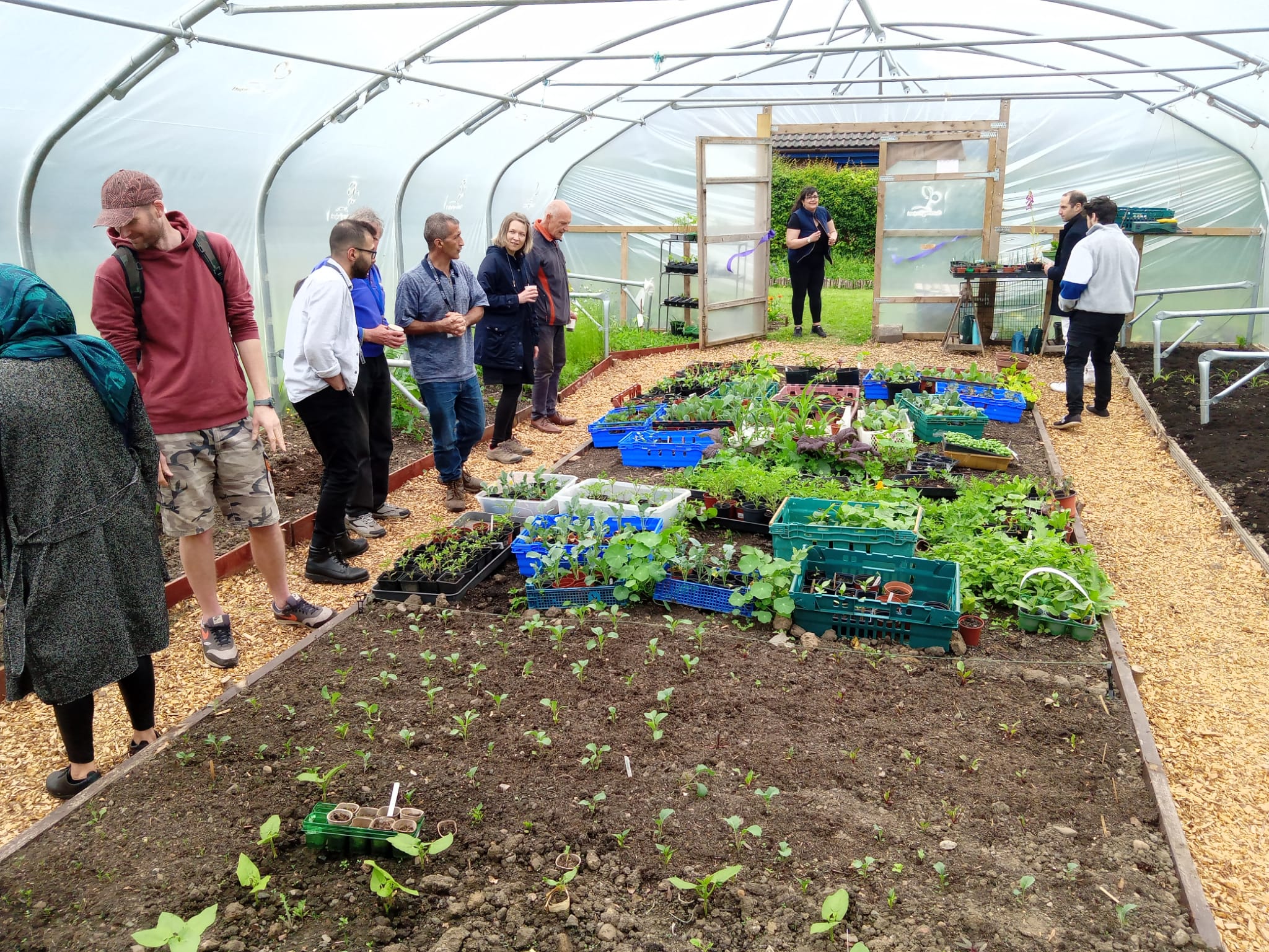 Reopening our Community Garden! - Comfrey Project